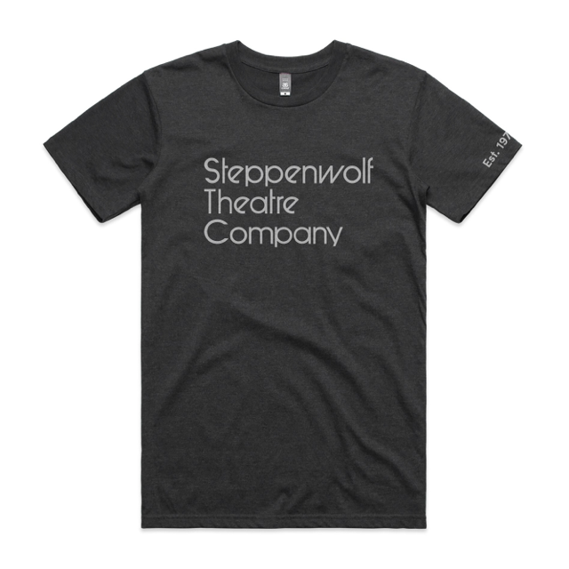Gray Retro Logo Tee – Steppenwolf Merch
